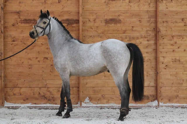 6.0 Energy Star Program Requirements